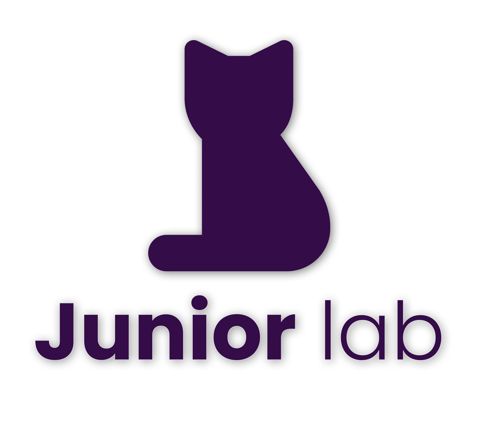 Junior Lab